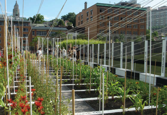 Boustrophedon Garden - Canadian Interiors