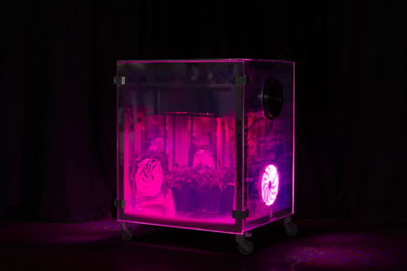 Check out MEG: a gadget that can monitor and control all the key ...