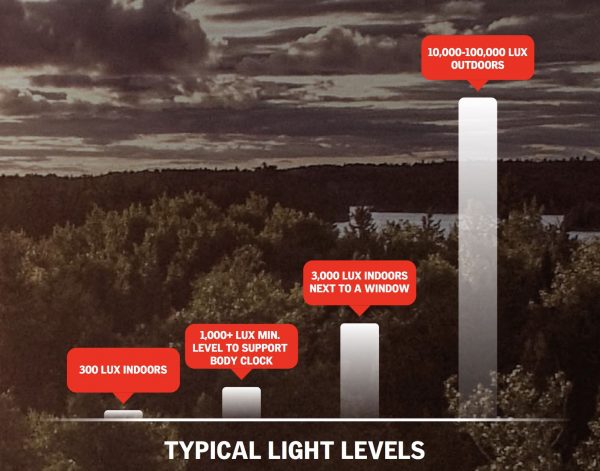 Indoor Generation: Velux campaign aims to foster healthier homes ...