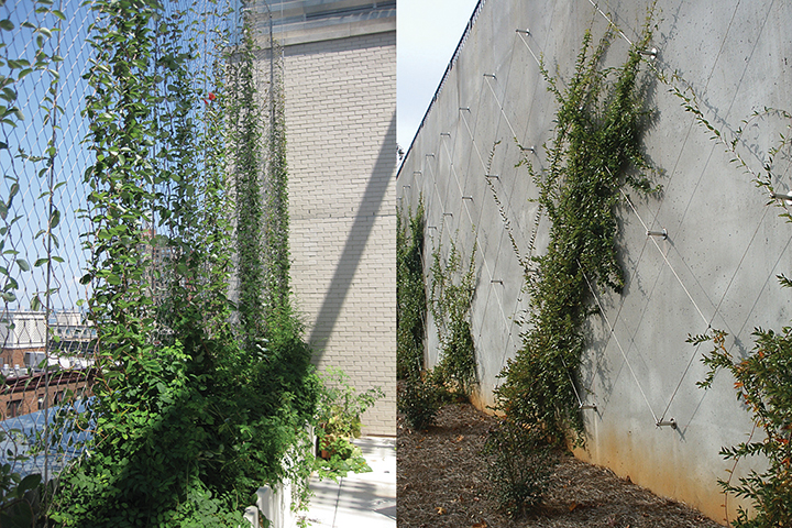 Stainless Steel Greenery Systems - Design Source Guide