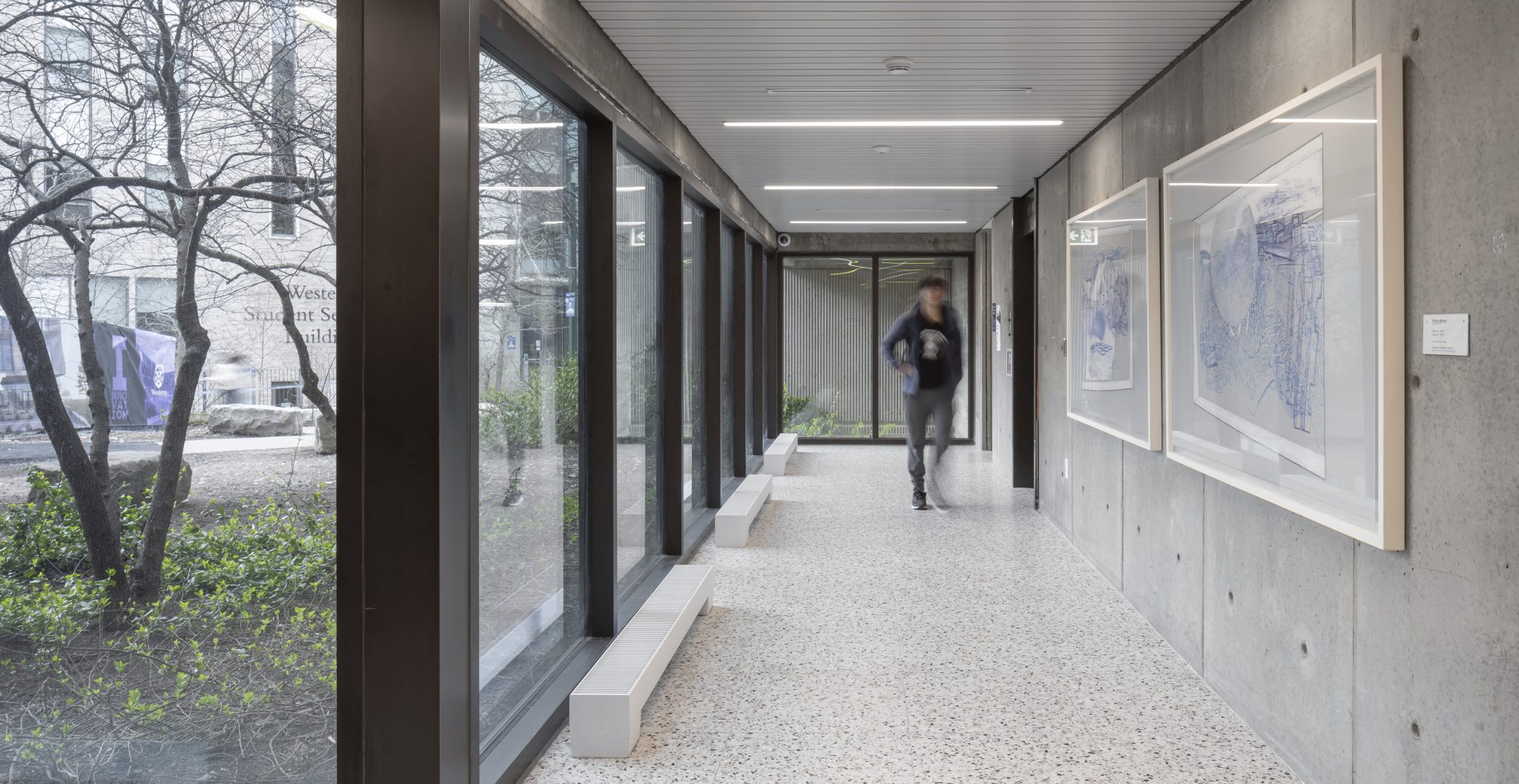 Weldon Library Revitalization, London, Ontario - Canadian Interiors