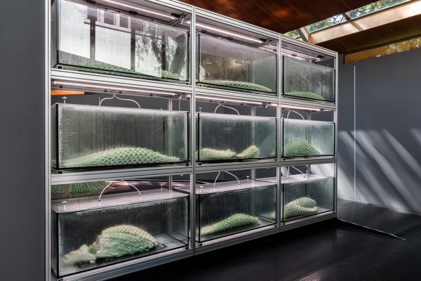 Awakening the Senses: Picoplanktonics - Canadian Interiors